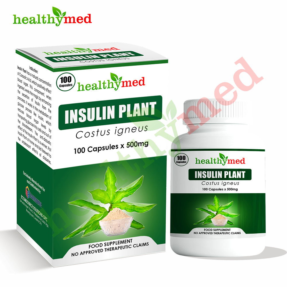 Healthymed Insulin Plant Capsule - Pure Organic Insulin Anti-Diabetic ...