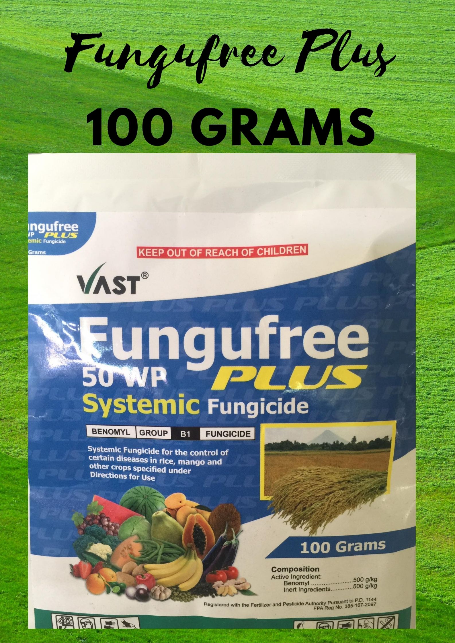 Vast Fungufree Plus 50 WP Fungicide 100g | Lazada PH