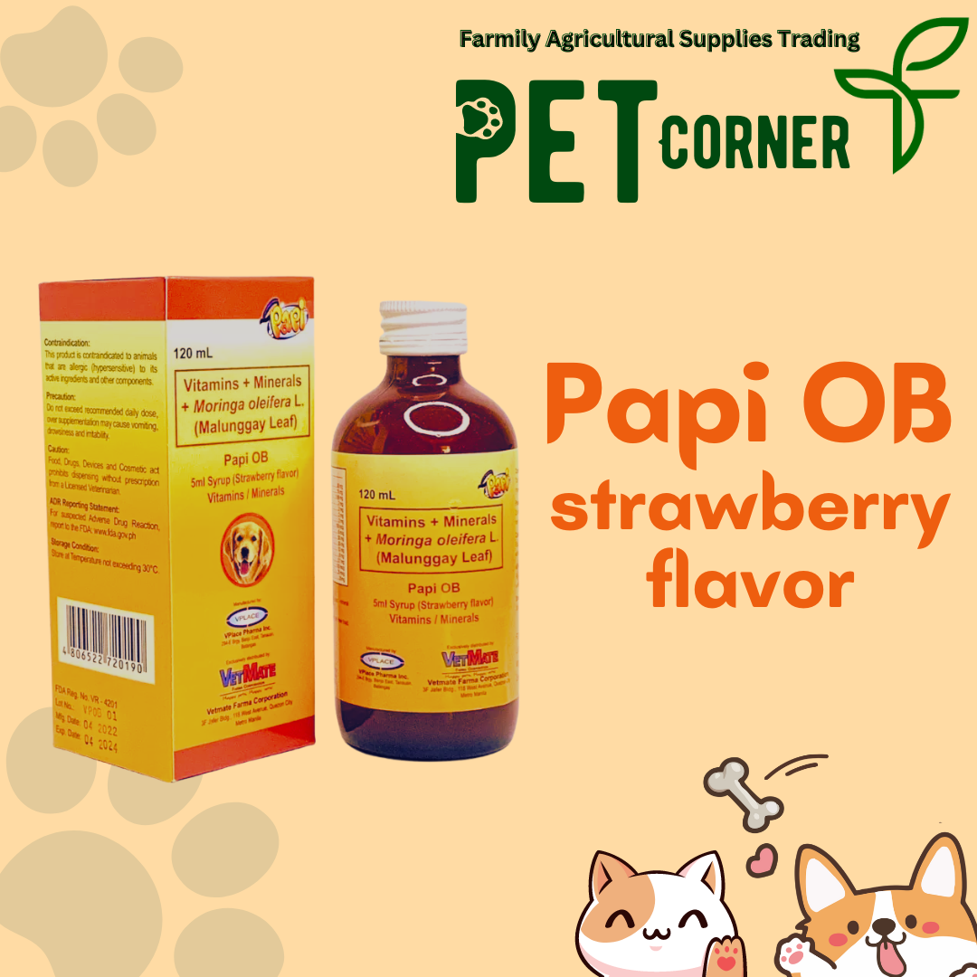 Papi OB Strawberry Flavored Vitamins and Minerals | Lazada PH