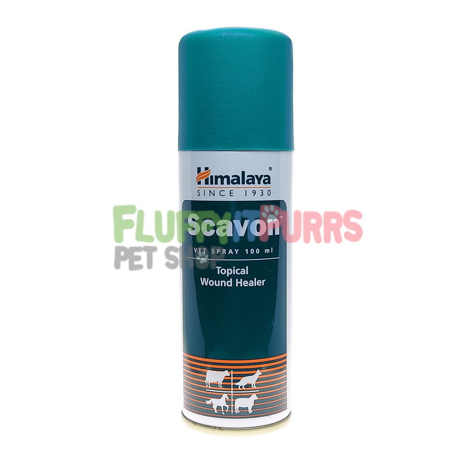 Himalaya Scavon Spray 100ml | Lazada PH