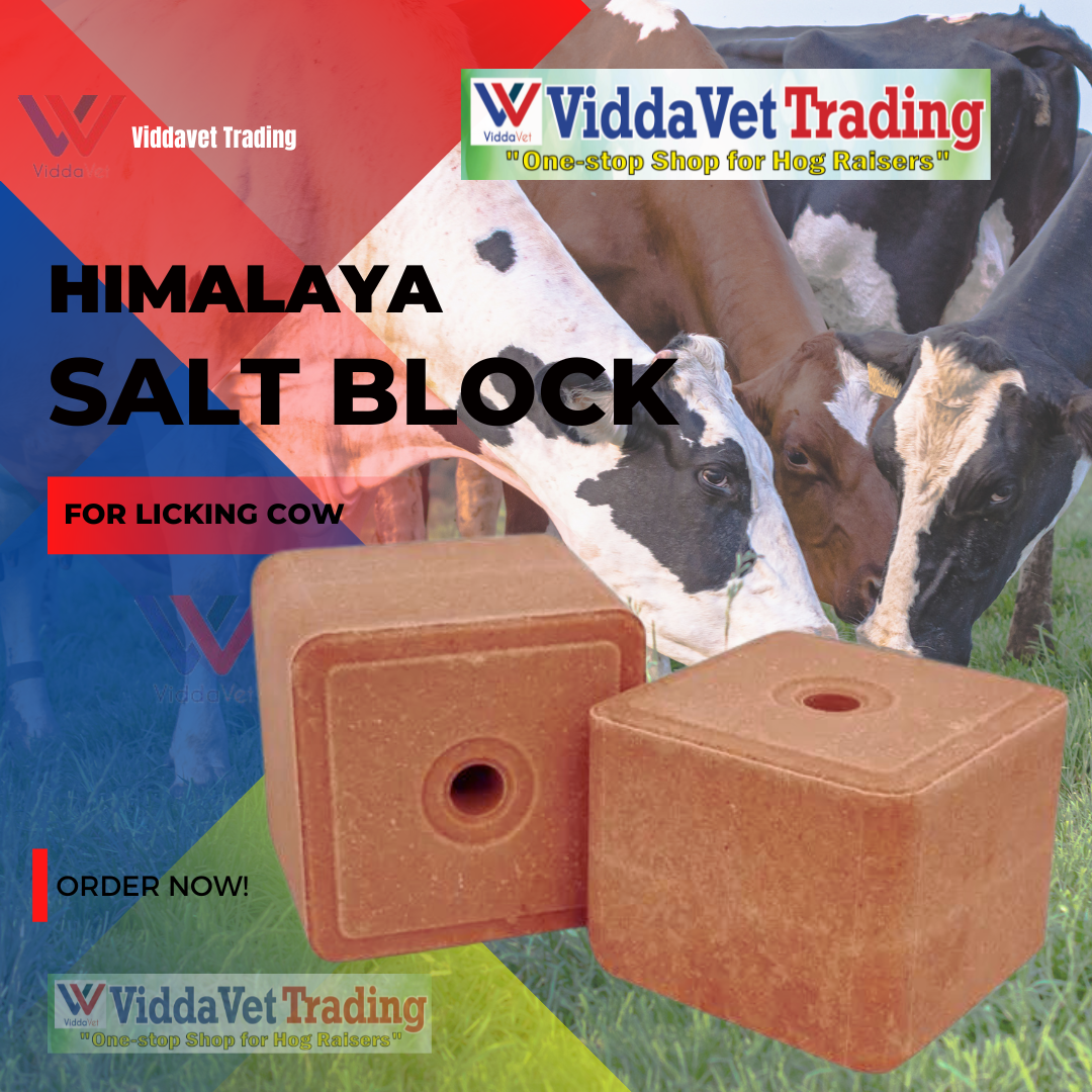 Himalaya salt block for animals cattle cow carabao husbandry farm 1 ...