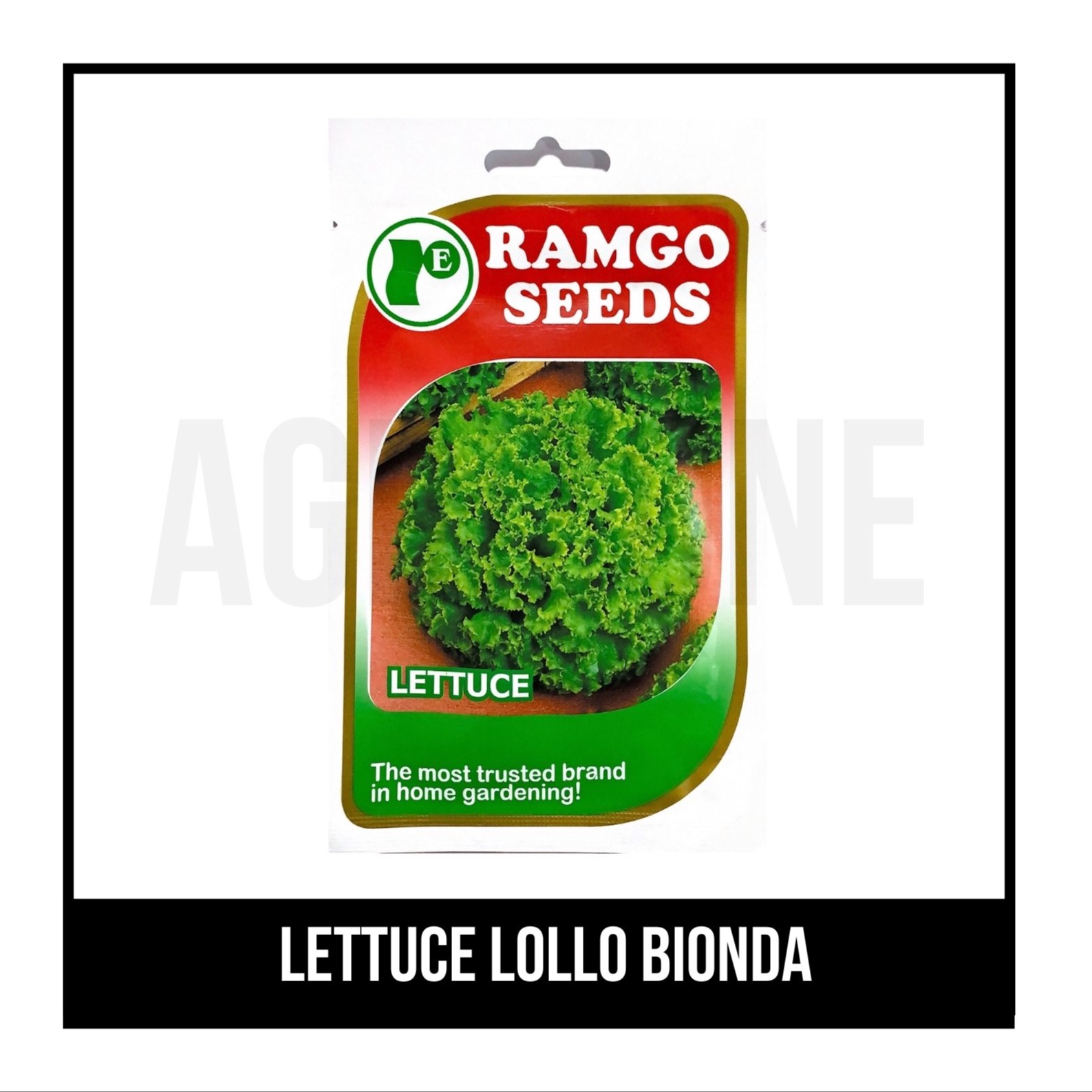 RAMGO Seeds Lettuce Lollo Bionda | Lazada PH