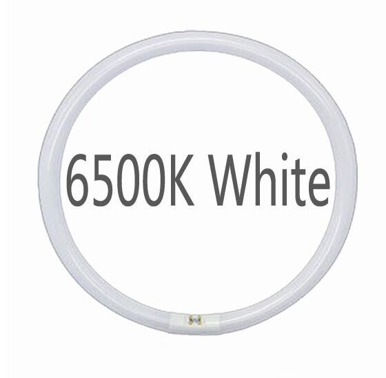 CFL Rare earth phosphor Compact Fluorescent Circular Lamp ,Circline ...