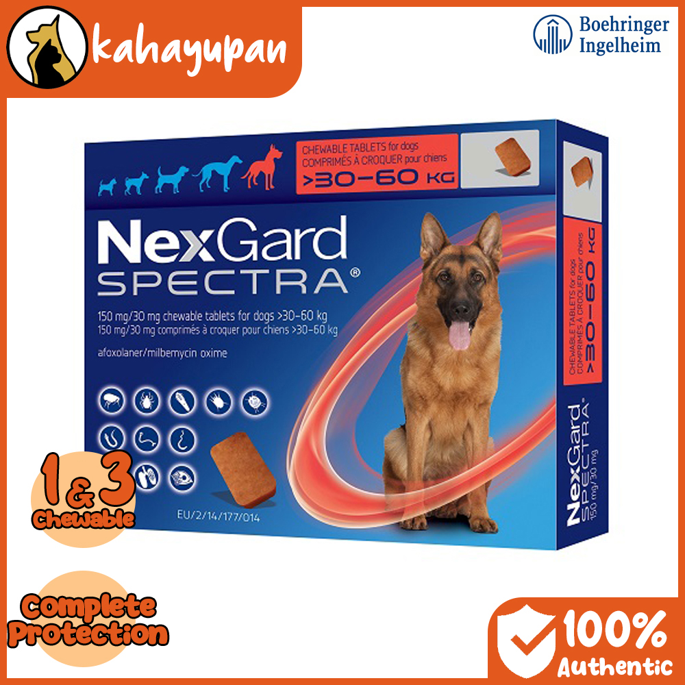 Nexgard Spectra and Nexgard Complete Parasite Protection for you Dogs ...