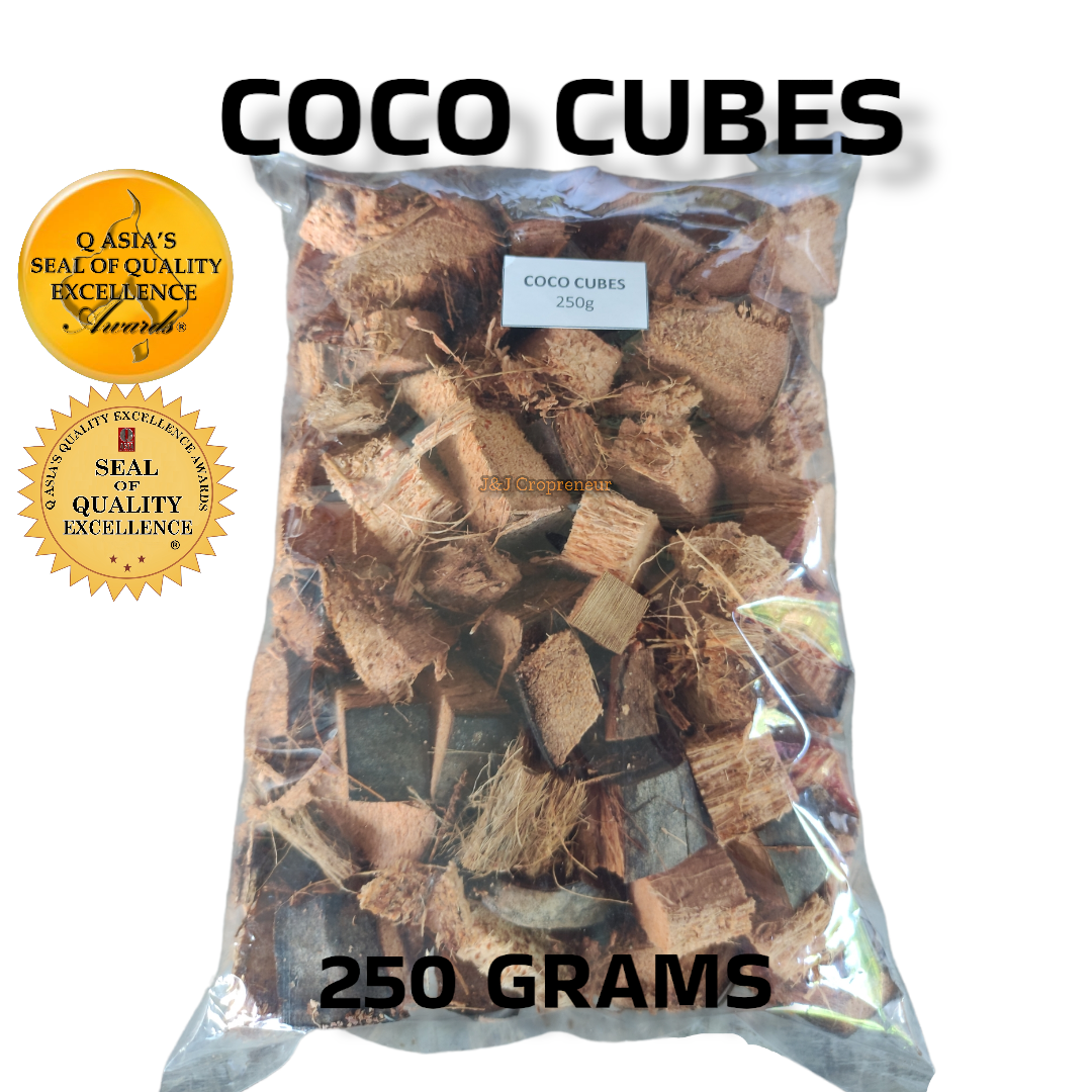 Coco Cubes/Chips 250g | Lazada PH