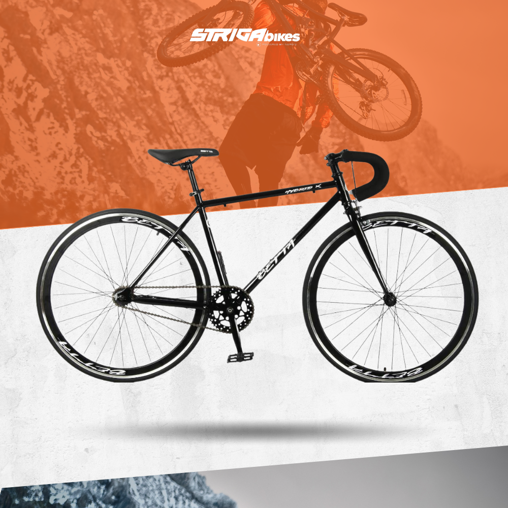 Myth Hybrid X 700c Steel Frame Fixie/Fixed Gear Bike | Lazada PH