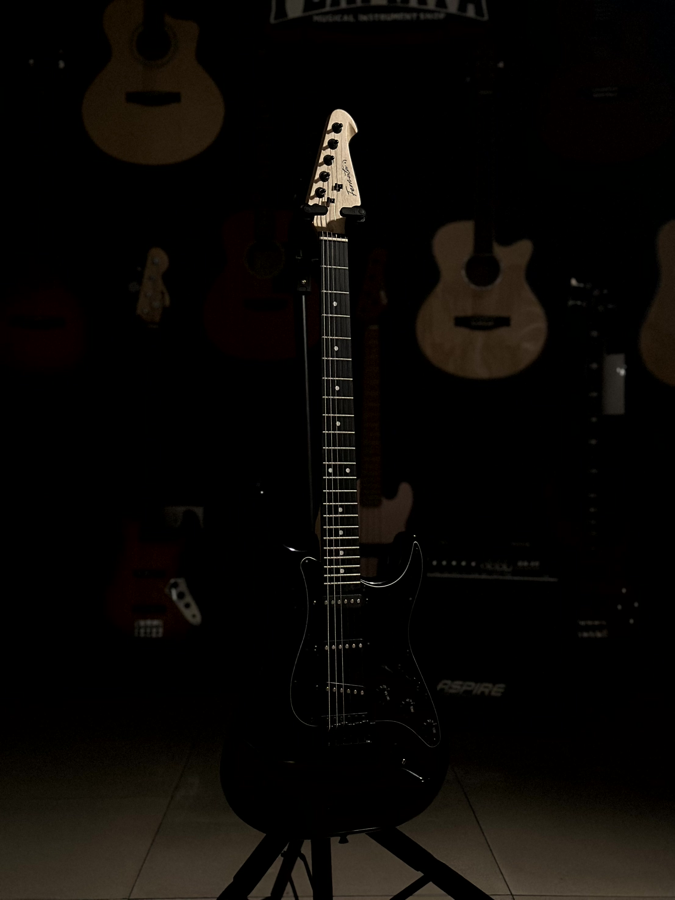 Fermata FS-1 Stratocaster Electric Guitar | Lazada PH