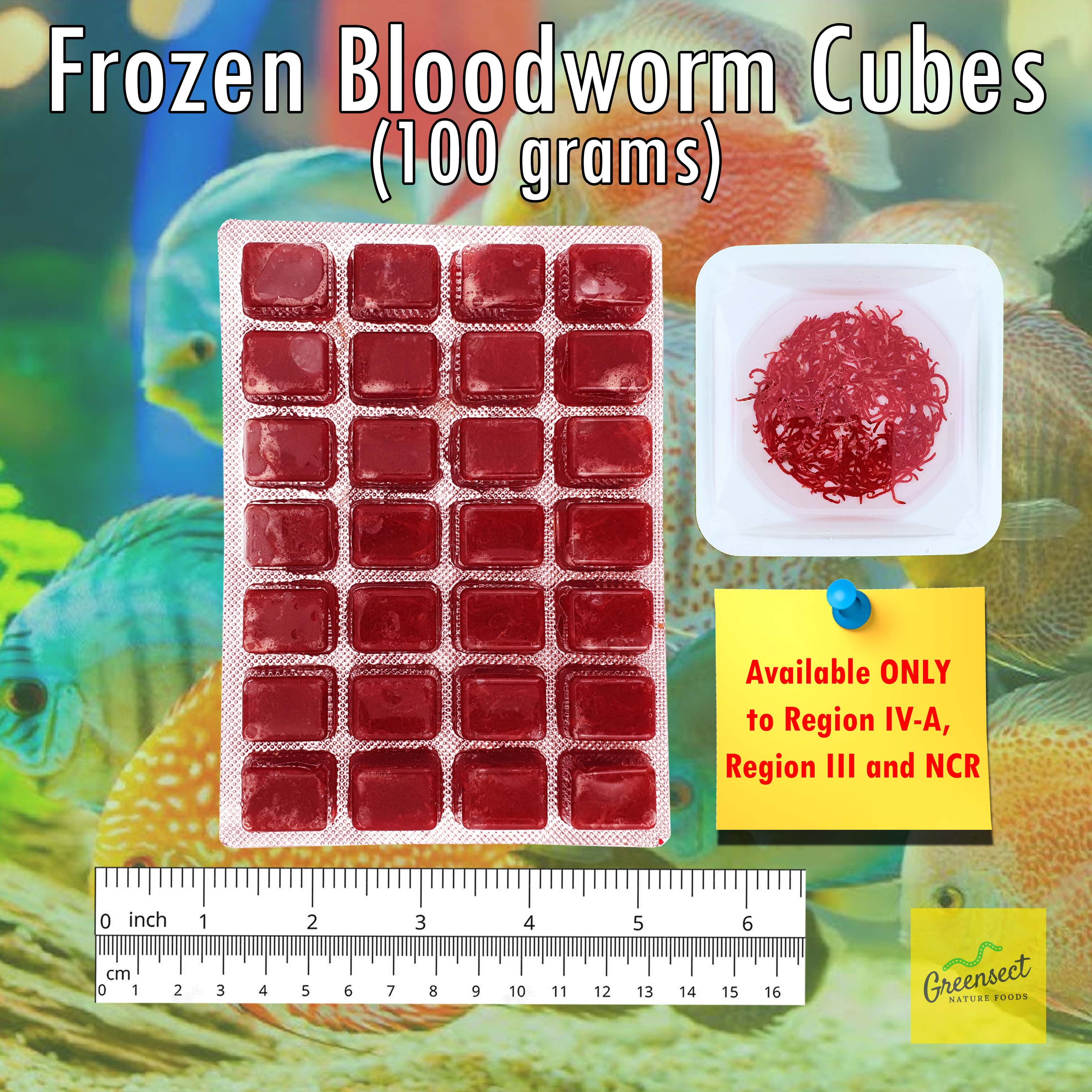 FROZEN BLOODWORM (WHOLESALE) betta tetra angelfish mollies discus ...