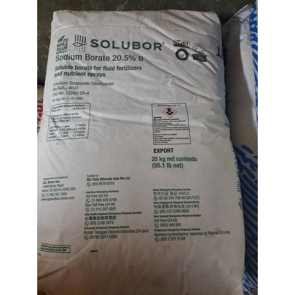 Solubor / Borax (Sodium Borate) - Boron based Insecticide Fungicide (1 ...