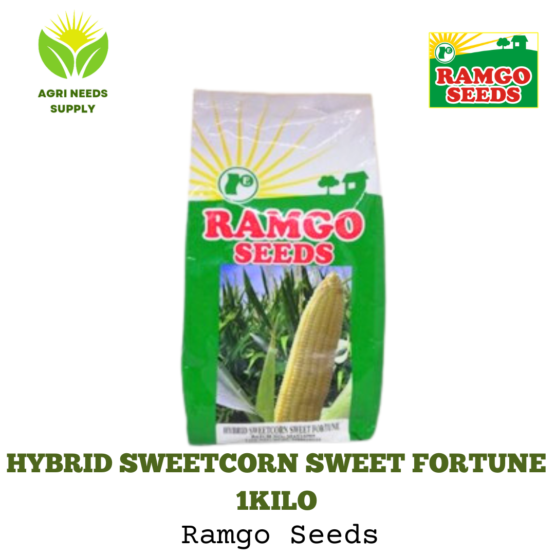 Ramgo Seeds Hybrid Sweetcorn Sweet Fortune 1kilo | Lazada PH