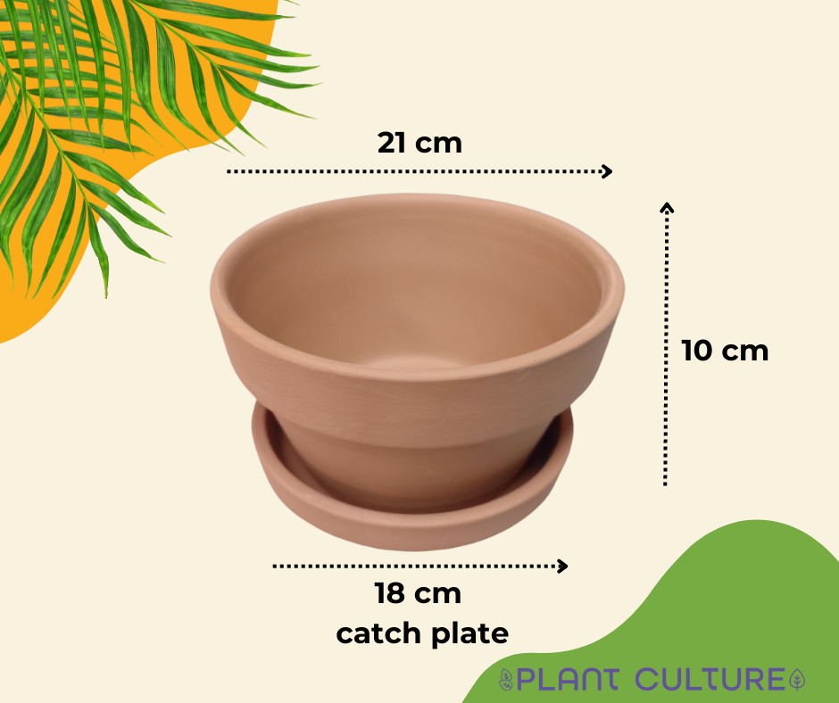 Plant Culture Ph: Smooth Japanese Terracotta Planters | Clay Pots with ...