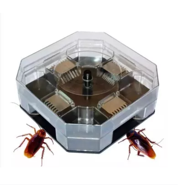 Consumer Goods Anti Cockroaches Trap Killer | Lazada PH