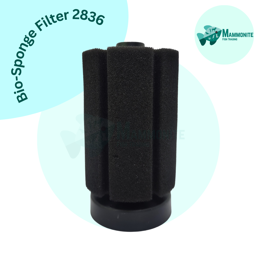 Bio Sponge Filter XY 2836 5.5x8.3cm Aquarium Filtration Clean Water ...