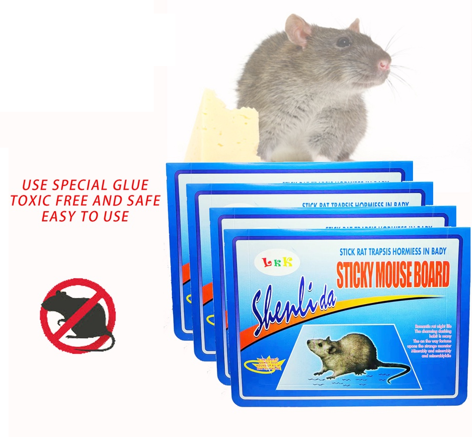 E-STORE Mouse Rat Sticky Glue Catcher Trap Rodent Expert Snare Mice ...