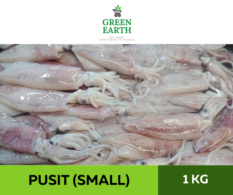 GREEN EARTH - FRESH SEAFOOD - PUSIT / SQUID (SMALL) - 1KG | Lazada PH