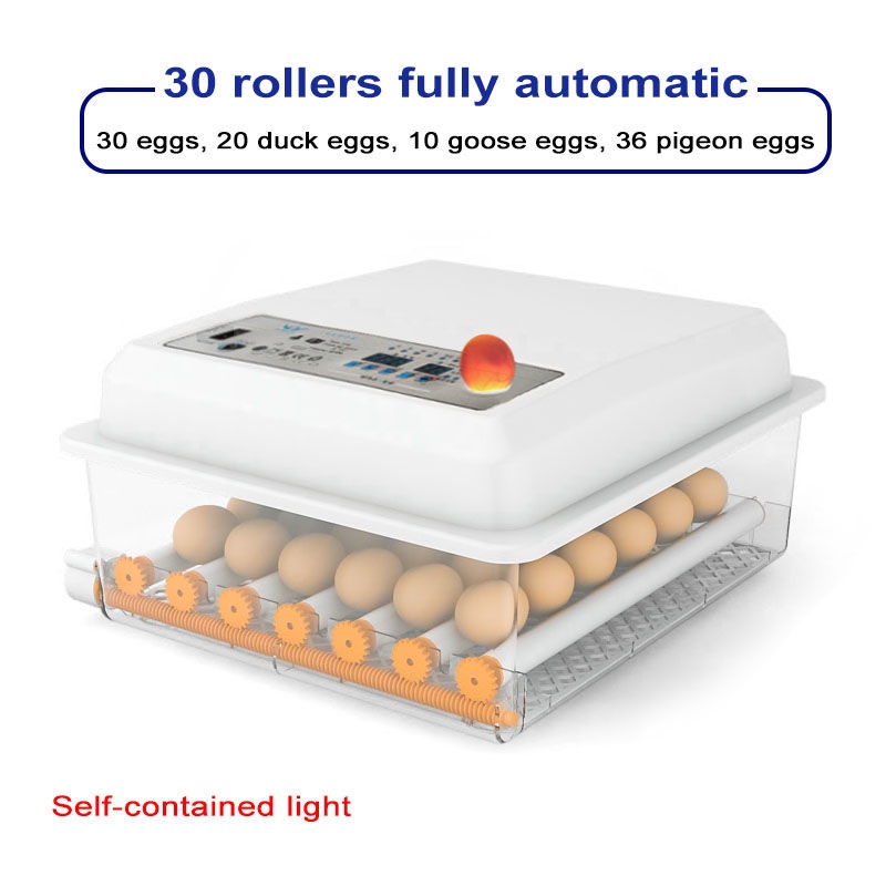 【COD+Spot】220V Egg Automatic Digital Incubator 16/36/64/120 Eggs Fully ...