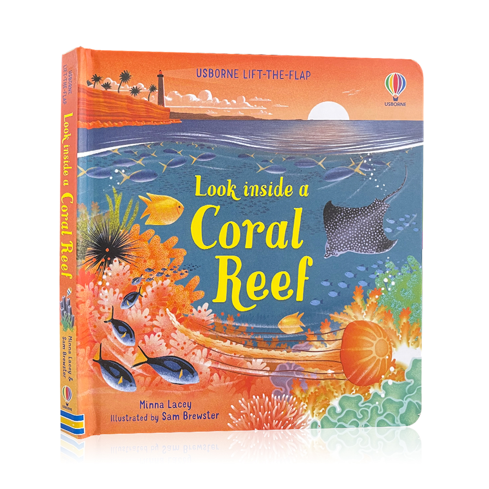 Usborne Look Inside Space Our World Seas and Oceans Things That Go Wild ...
