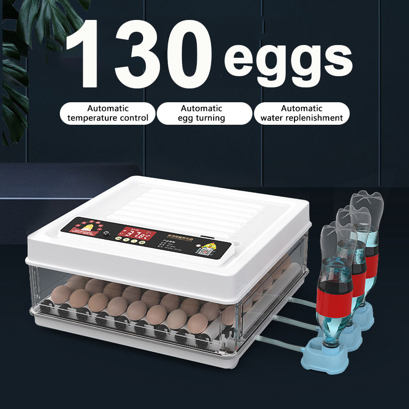 56 Egg Capacity 56 Egg Automatic Incubator With Turning, Temperature ...