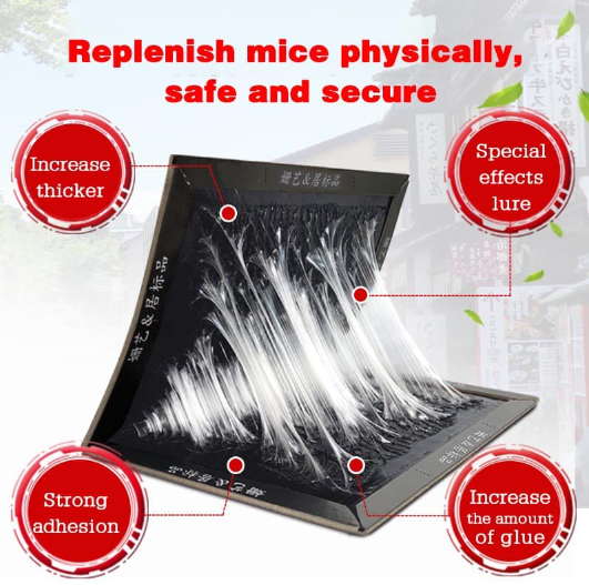 PropShop Mouse Board Super Strong Sticky Mouse Glue Board Black Mice ...