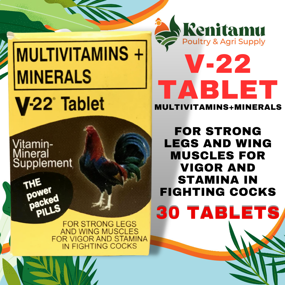V-22 TABLET MULTIVITAMINS+MINERALS 30 TABLETS | Lazada PH