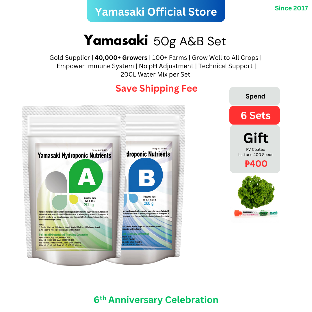 029 Yamasaki Hydroponics Nutrient 100g | hydrophonic nutrient solution for hydroponics snap ...