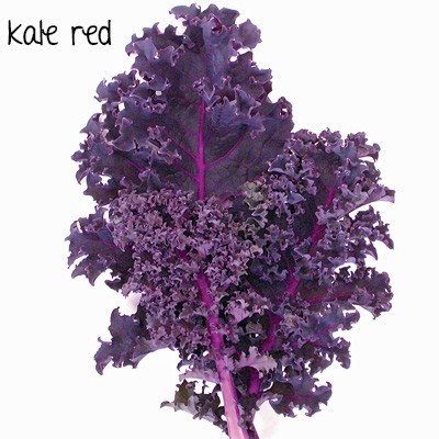 green red curly kale toscano lacinato leaf vegetable 50 seeds (not live ...