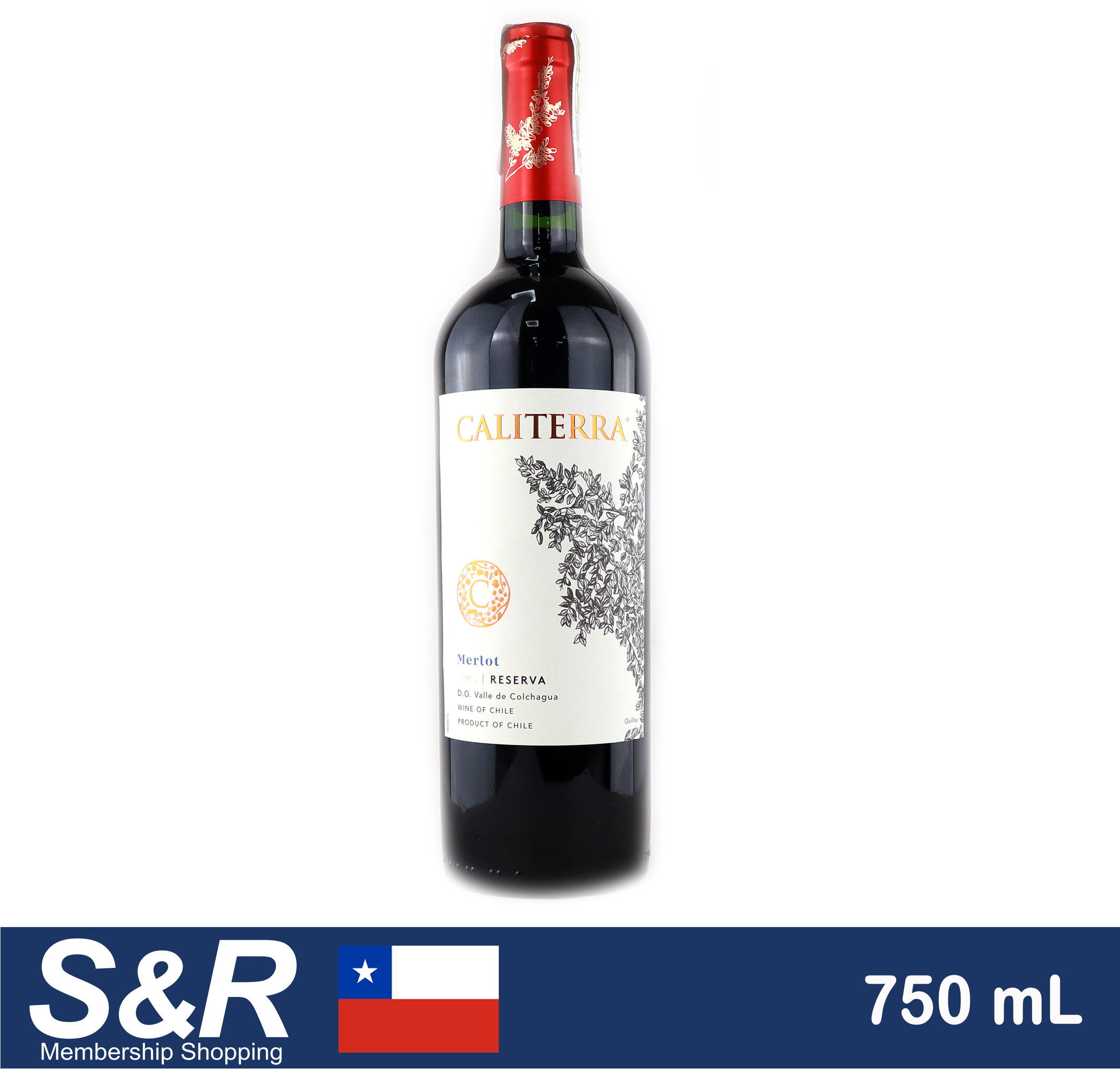 Caliterra Merlot Reserva 750 mL | Lazada PH
