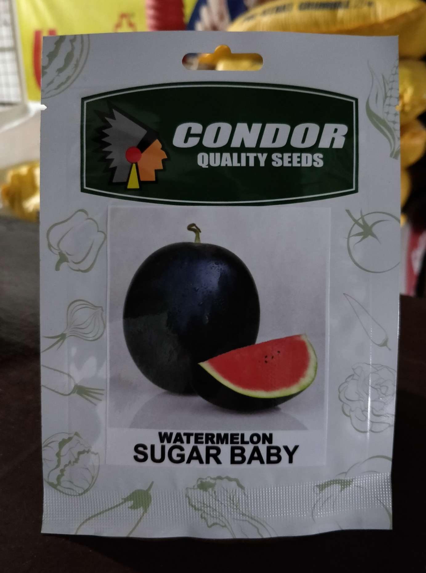 CONDOR SEEDS - WATERMELON SEEDS - SUGAR BABY 3 Grams | Lazada PH