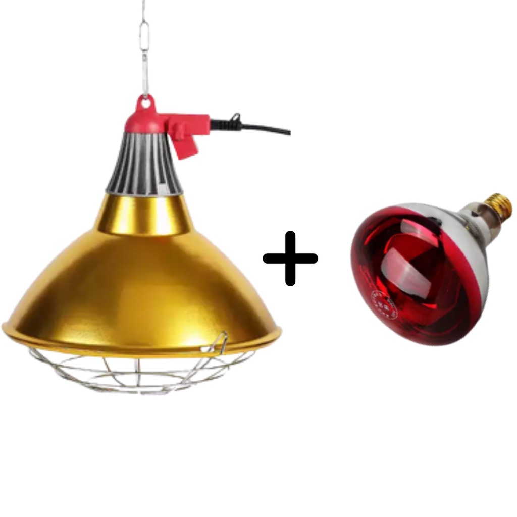 Golden Big Brooder Heat Lamp with Stepless Switch and Infrared Bulb ...
