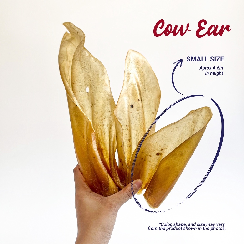 Dehydrated Cow Ear Chew (sold per pc) | Lazada PH
