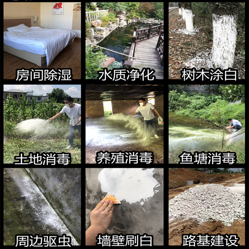 Quicklime powder 10 kg desiccant sterilization dehumidification ...