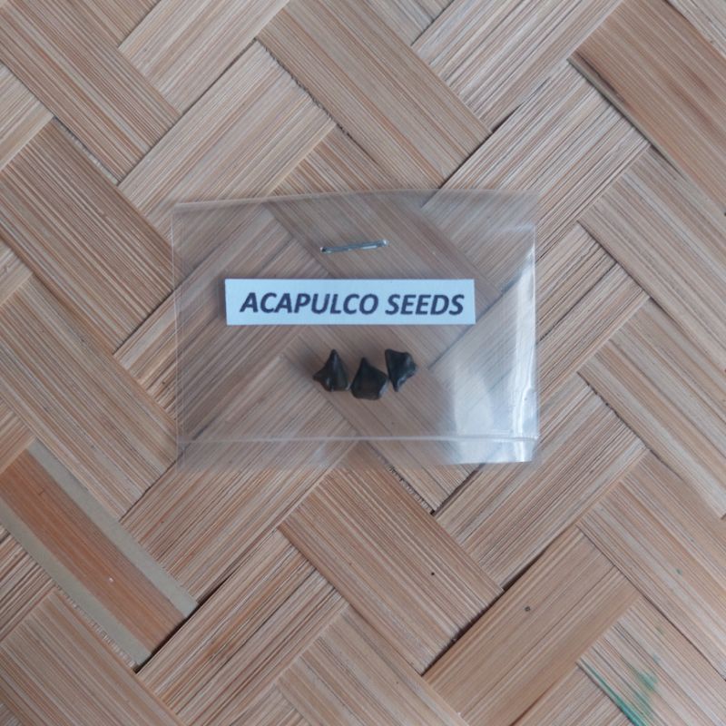 linbei/ Akapulko Seeds (3Pcs/Pack) Andadasi | Lazada PH