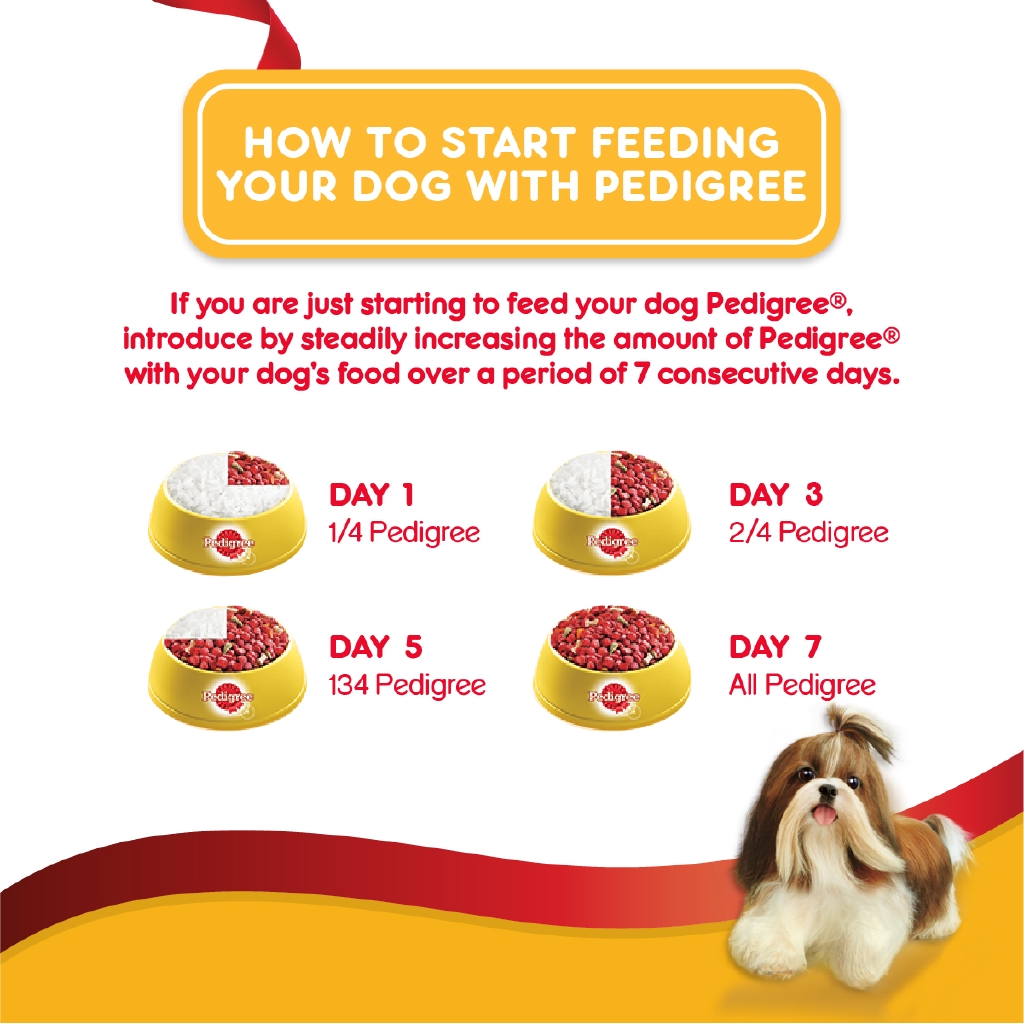 Best PEDIGREE Adult Chicken Liver Pouch Wet Dog Food Set of 6 (130g ...