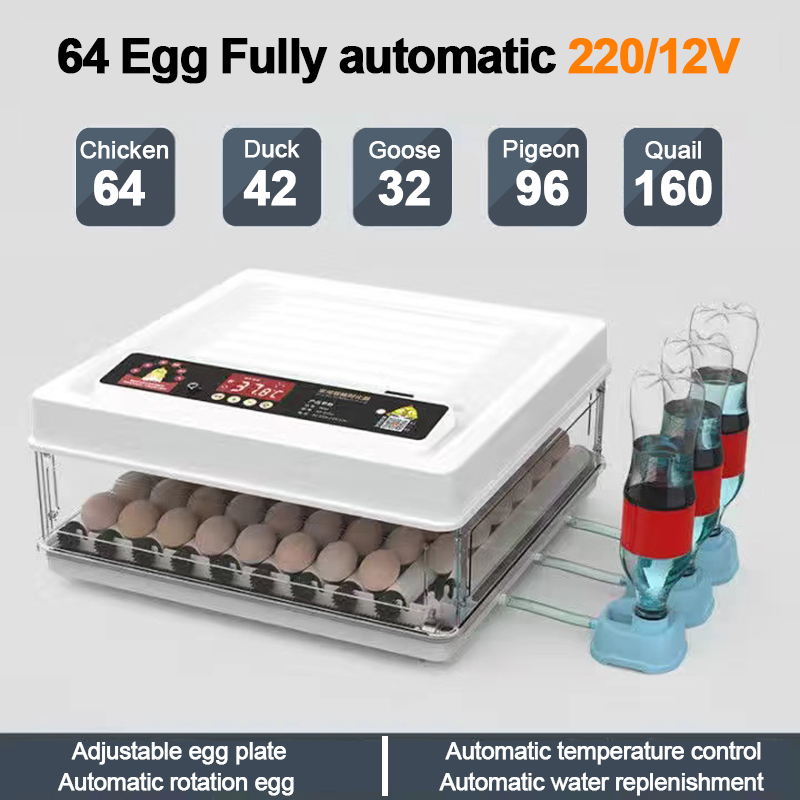 220V/12V Egg Automatic Digital Incubator 12/24/38/48/64/130 Eggs Fully Automatic Egg Incubator ...
