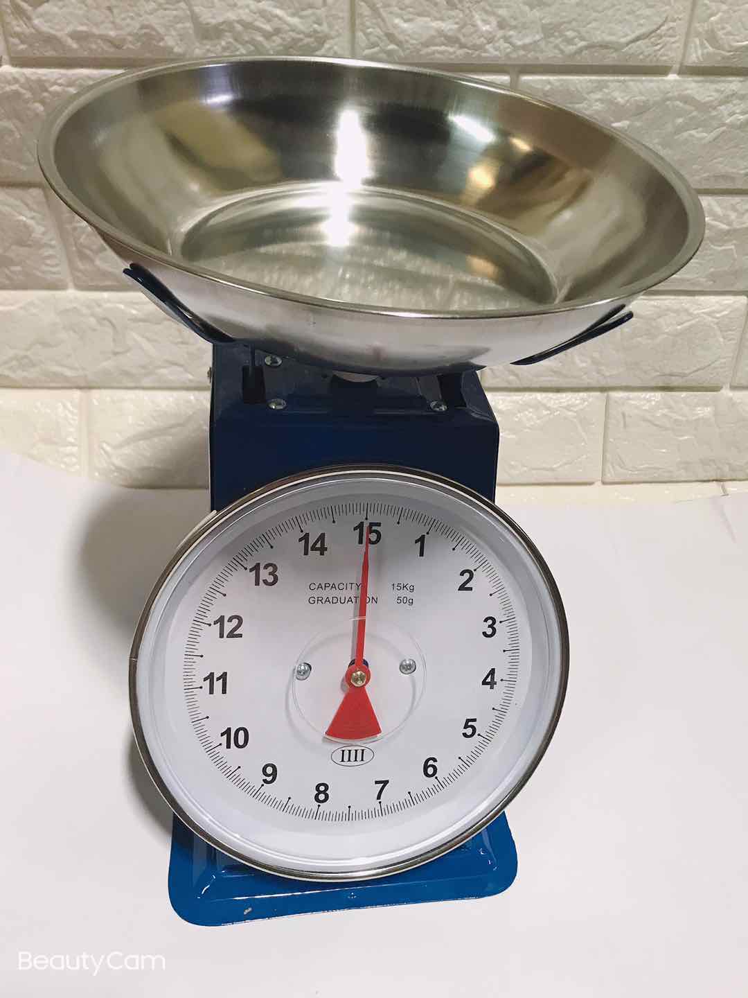 World Standard Spring Weighing Scale 15 kg Small Bowl timbangan | Lazada PH