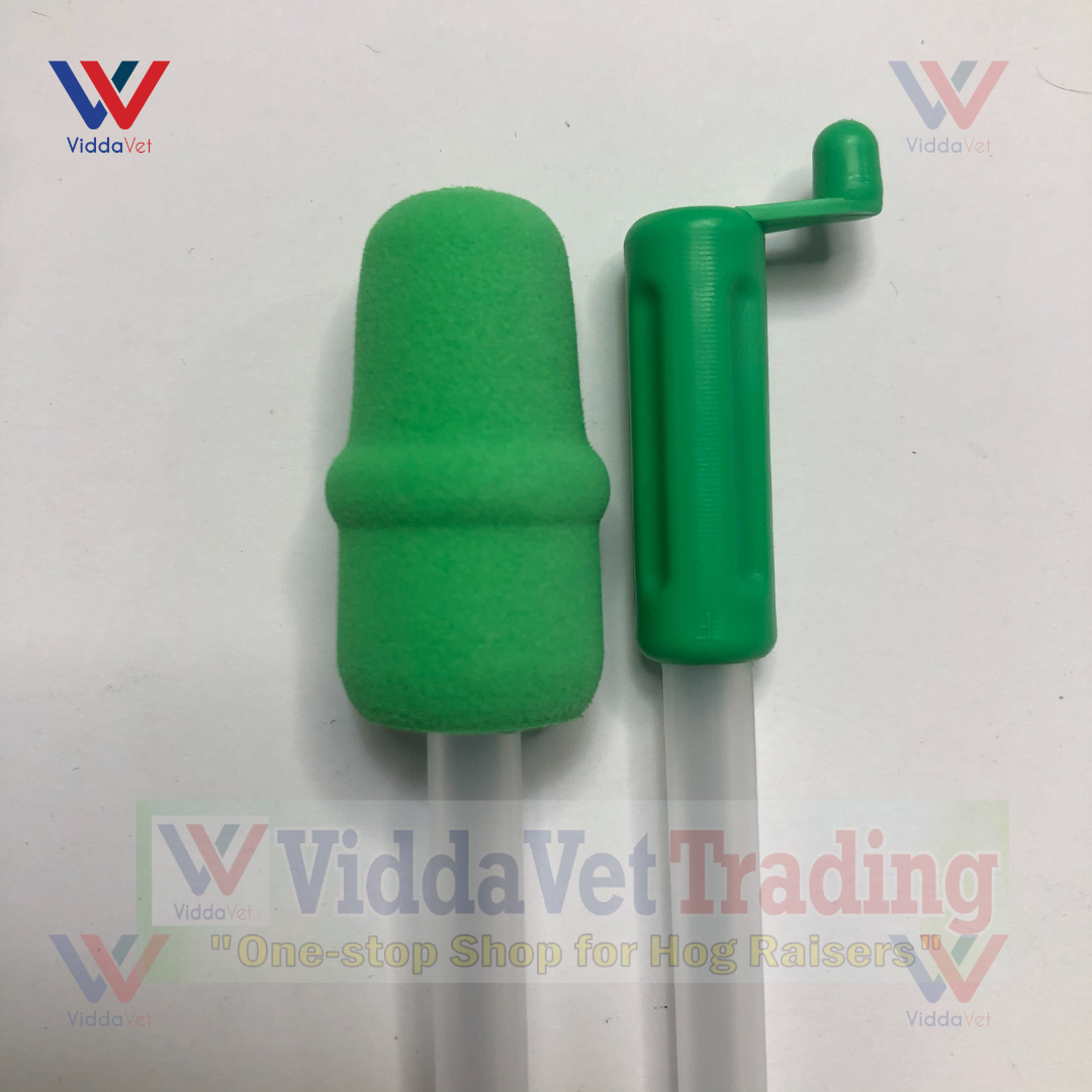 10 pcs Swine Foam tip AI Catheter for Sow Gilt Foam tip catheter Swine ...