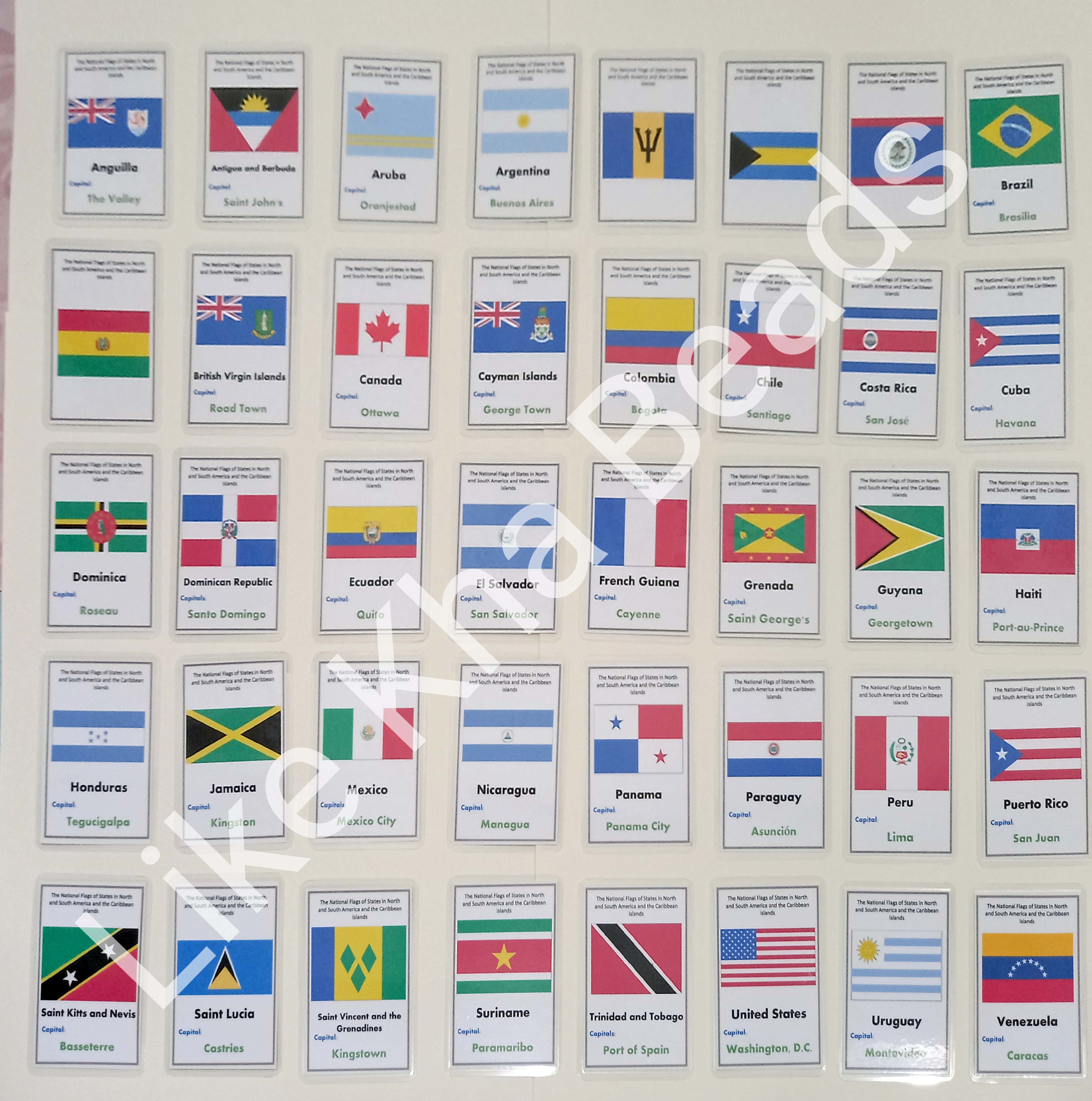Laminated Flash cardsNational Flags of States in North and South ...
