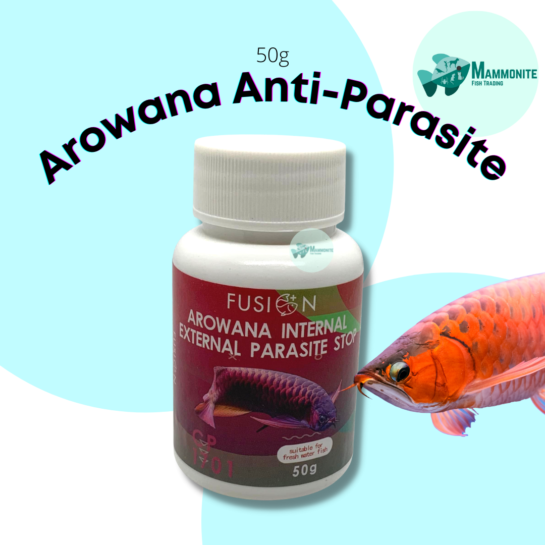 Aquarium Fish Arowana Fusion Internal External Parasite Stop Treatment ...