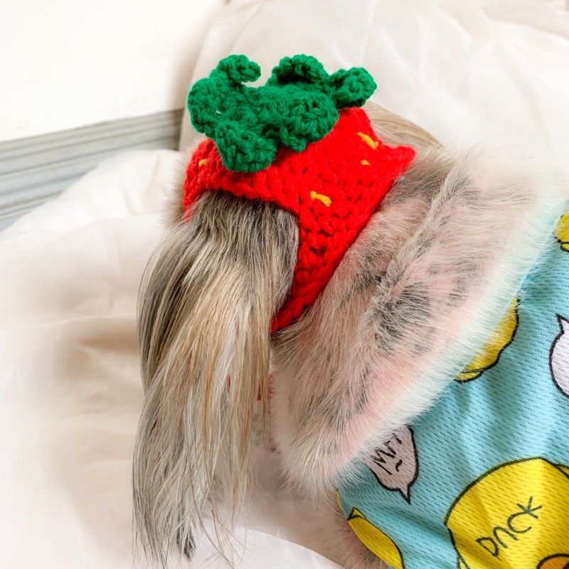 Strawberry Doggo Hat | Lazada PH