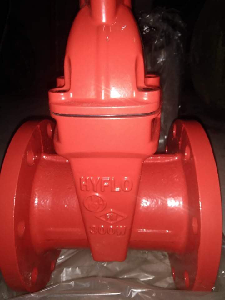 OS&Y Gate Valve Flange Type for fire protection 300psi Red ALL SIZES ...