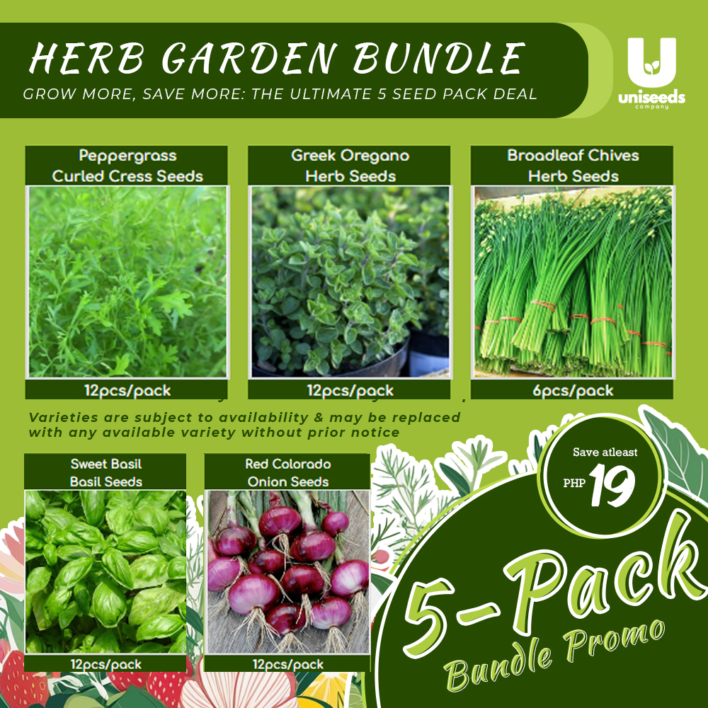 Herb Garden Seeds Bundle Pack Rare Herb Seeds Bundle Pack Heirloom Herb ...