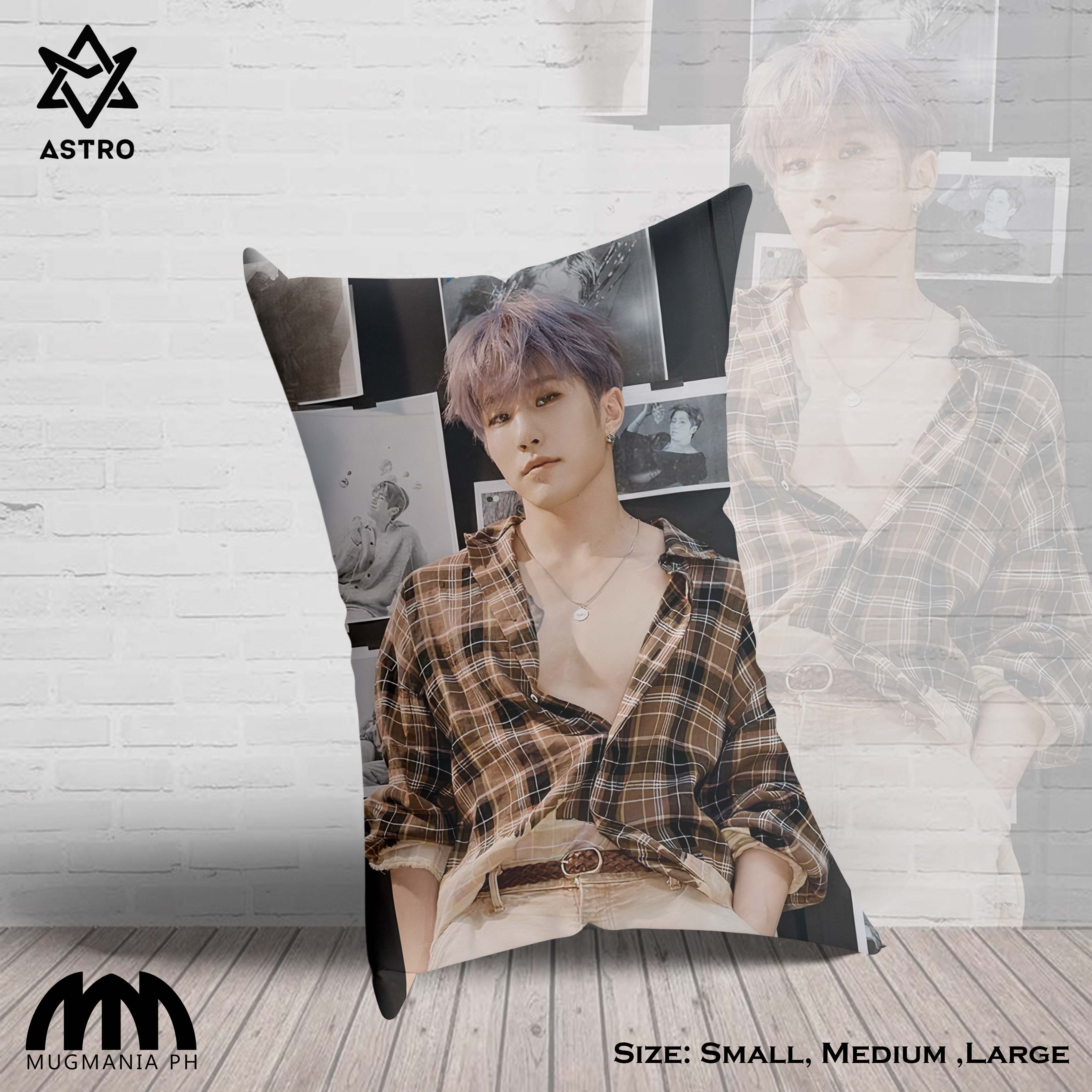 Astro Merch - Small, Medium, Large Pillows - Cha Eun Woo, Moonbin ...