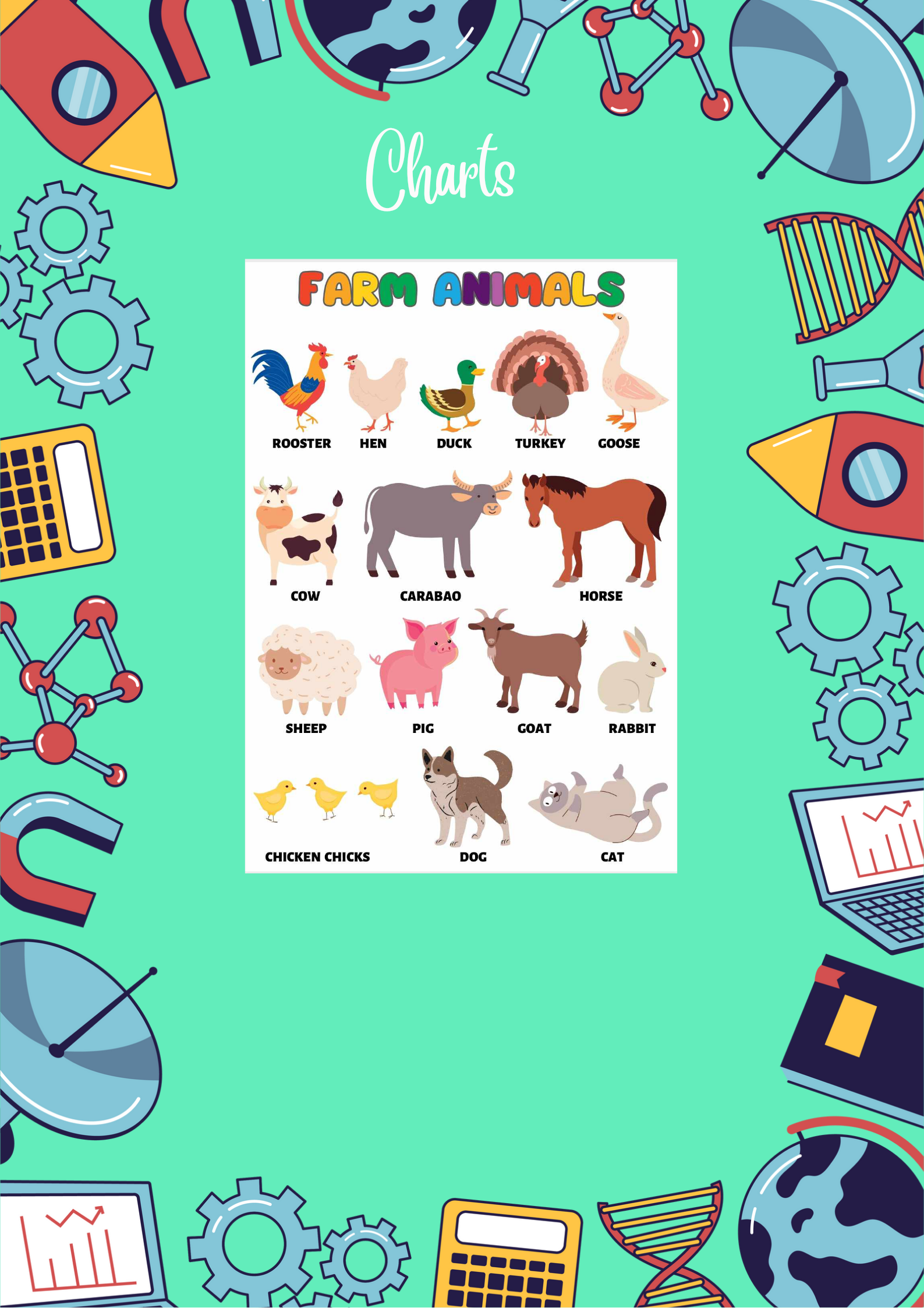 KIDS EDUCATIONAL CHART (LAMINATED 125MIC.) | Lazada PH