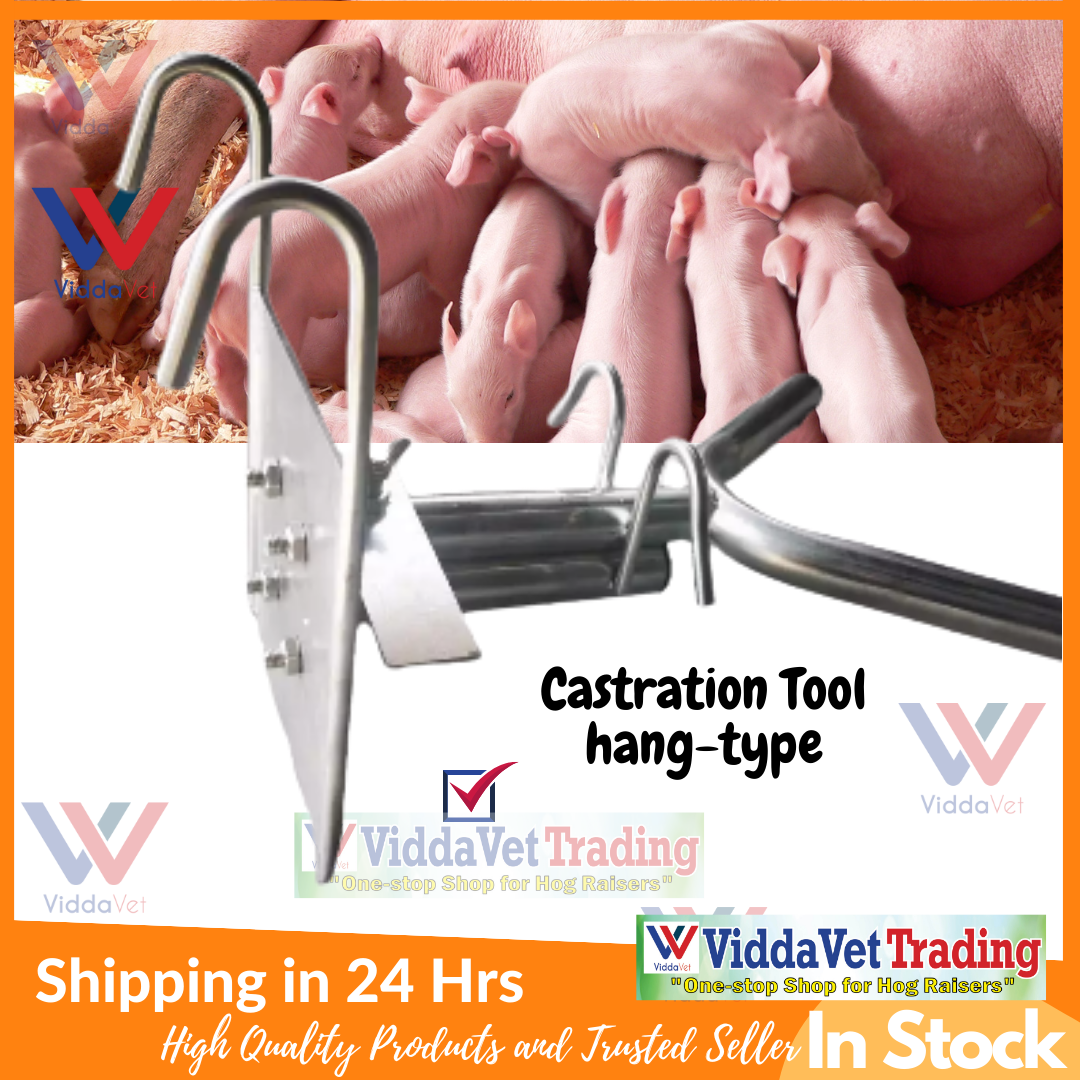Hanging Pig Castration Tool Livestock Bundle Fixation Bracket Piglet ...
