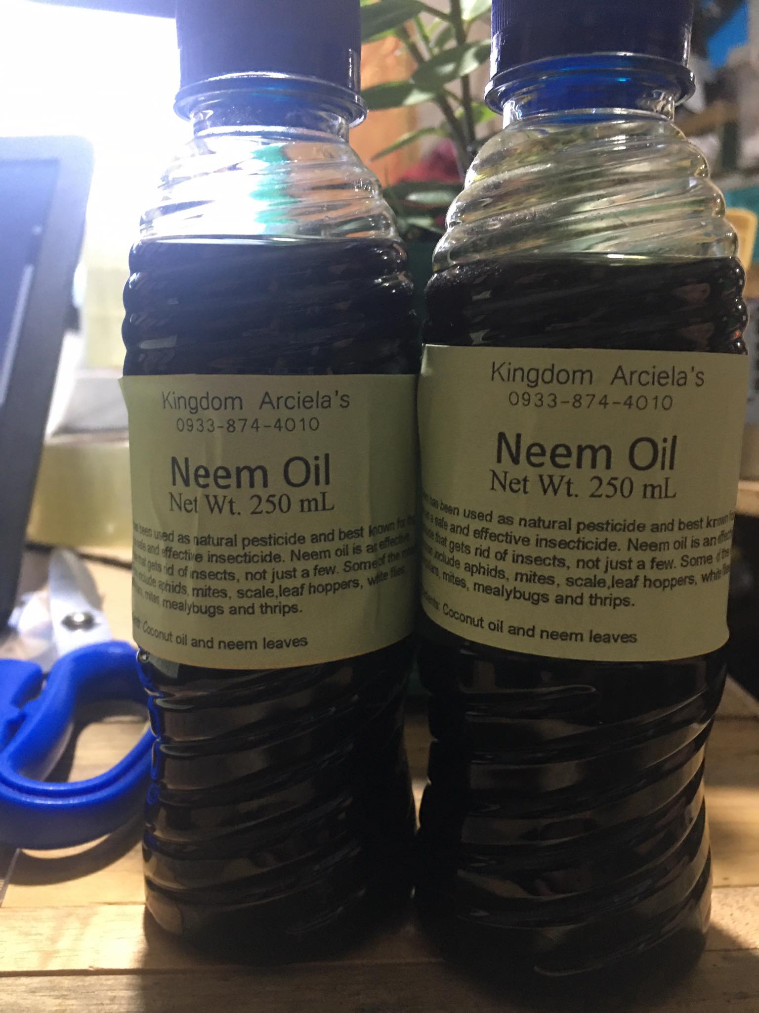 Neem Oil Concentrated 250 mL as Organic Pesticide cold pressed | Lazada PH