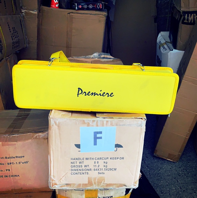 Premiere Melodica Yellow | Lazada PH