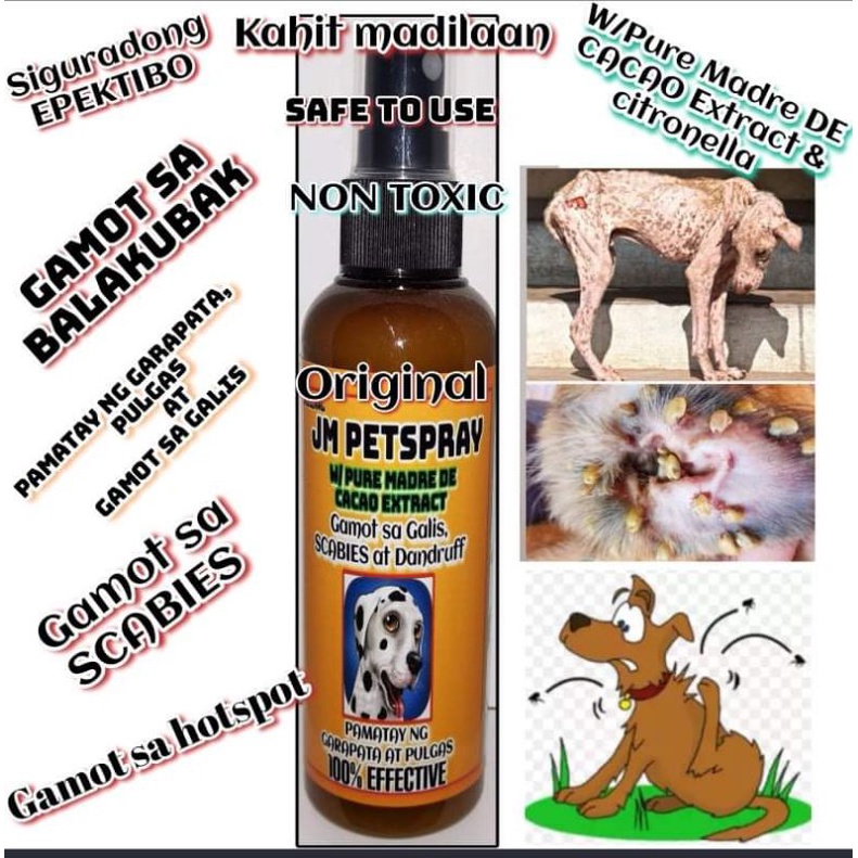 Pet Spray Gamot sa Galis ng Aso 100ml orange(Original) | Lazada PH