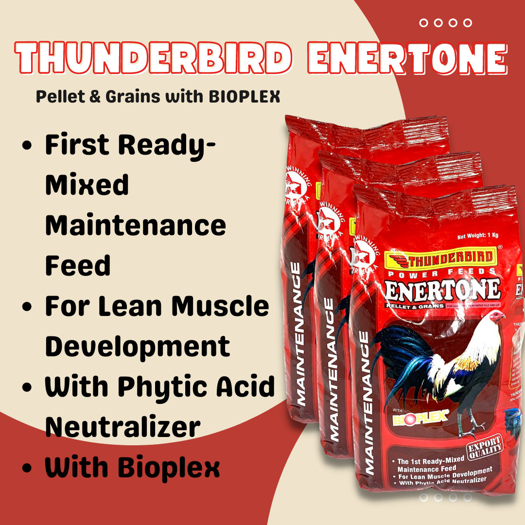 [FCR AGRIVET] 3kg Thunderbird ENERTONE Maintenance Pellet and Grains ...