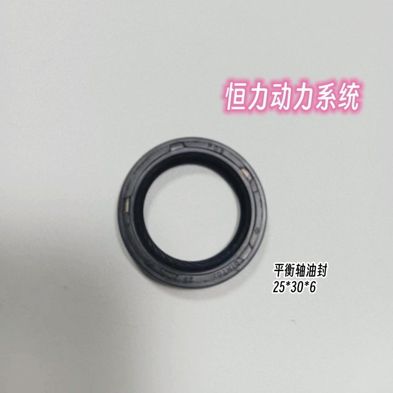 Suitable for Mitsubishi 4G63 4G64 4G69 camshaft oil seal crankshaft ...