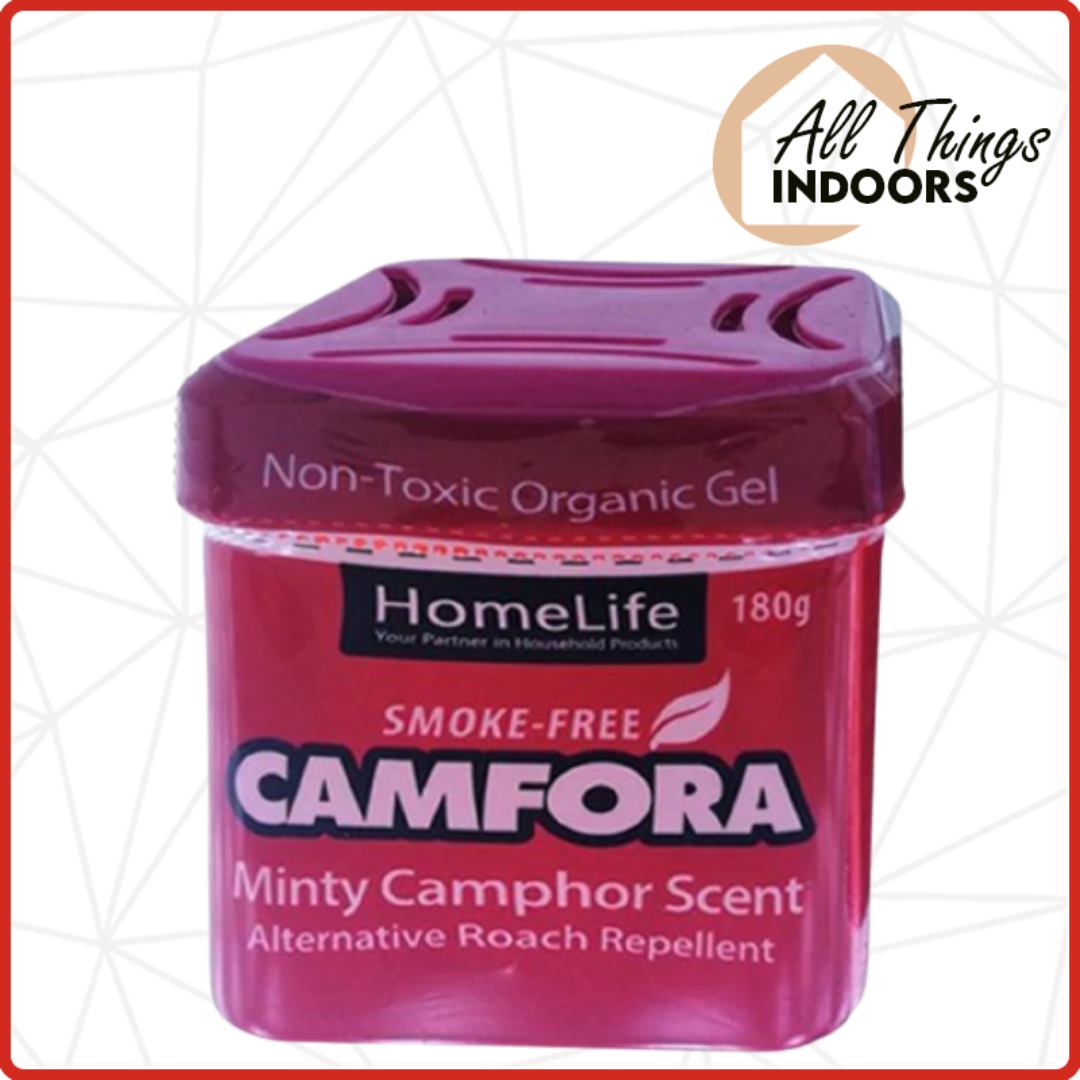Homelife Camfora Gel Camphor Scent 180G | Lazada PH